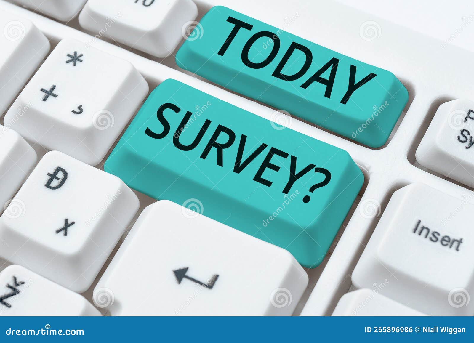 Conceptual Caption Survey. Concept Meaning Research Method Used for ...