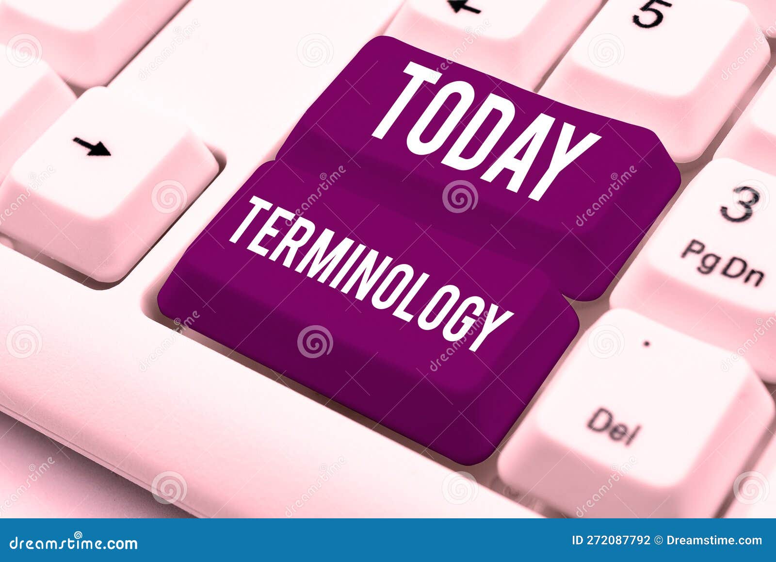 Text Sign Showing Terminology. Business Concept Terms Used with ...