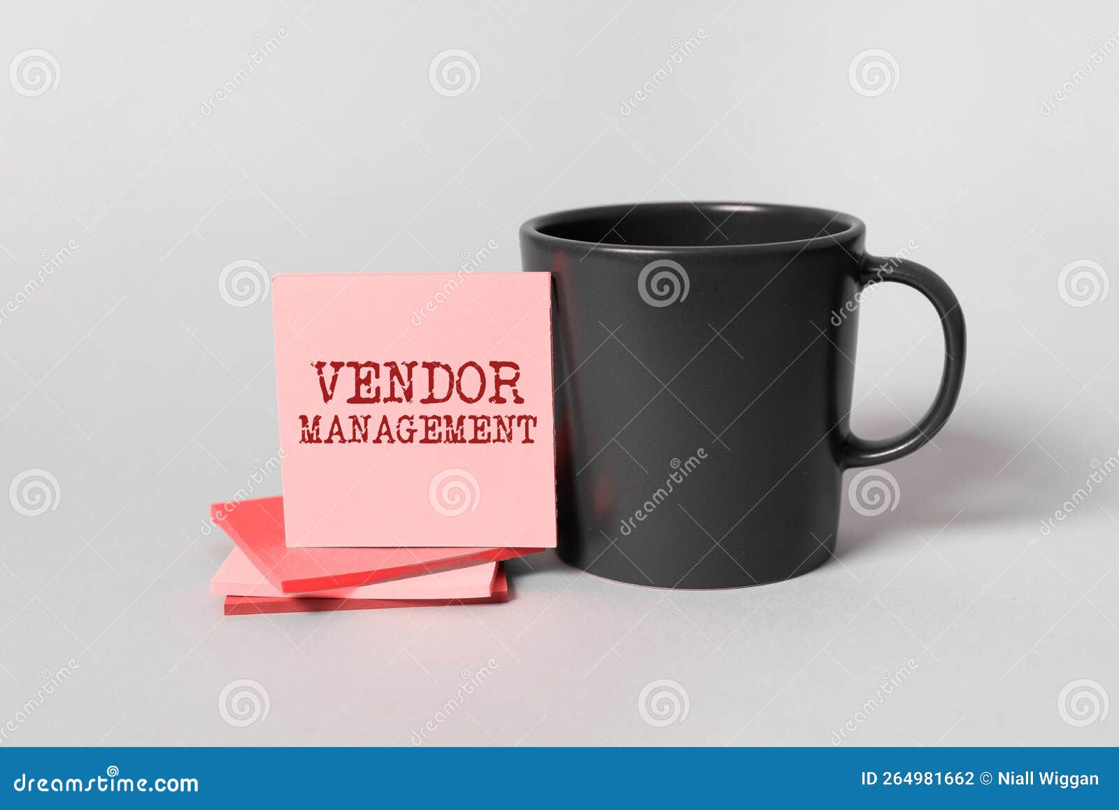 Conceptual Caption Vendor Management. Concept Meaning Activities ... Conceptual Caption Vendor Management. Concept Meaning Activities ...