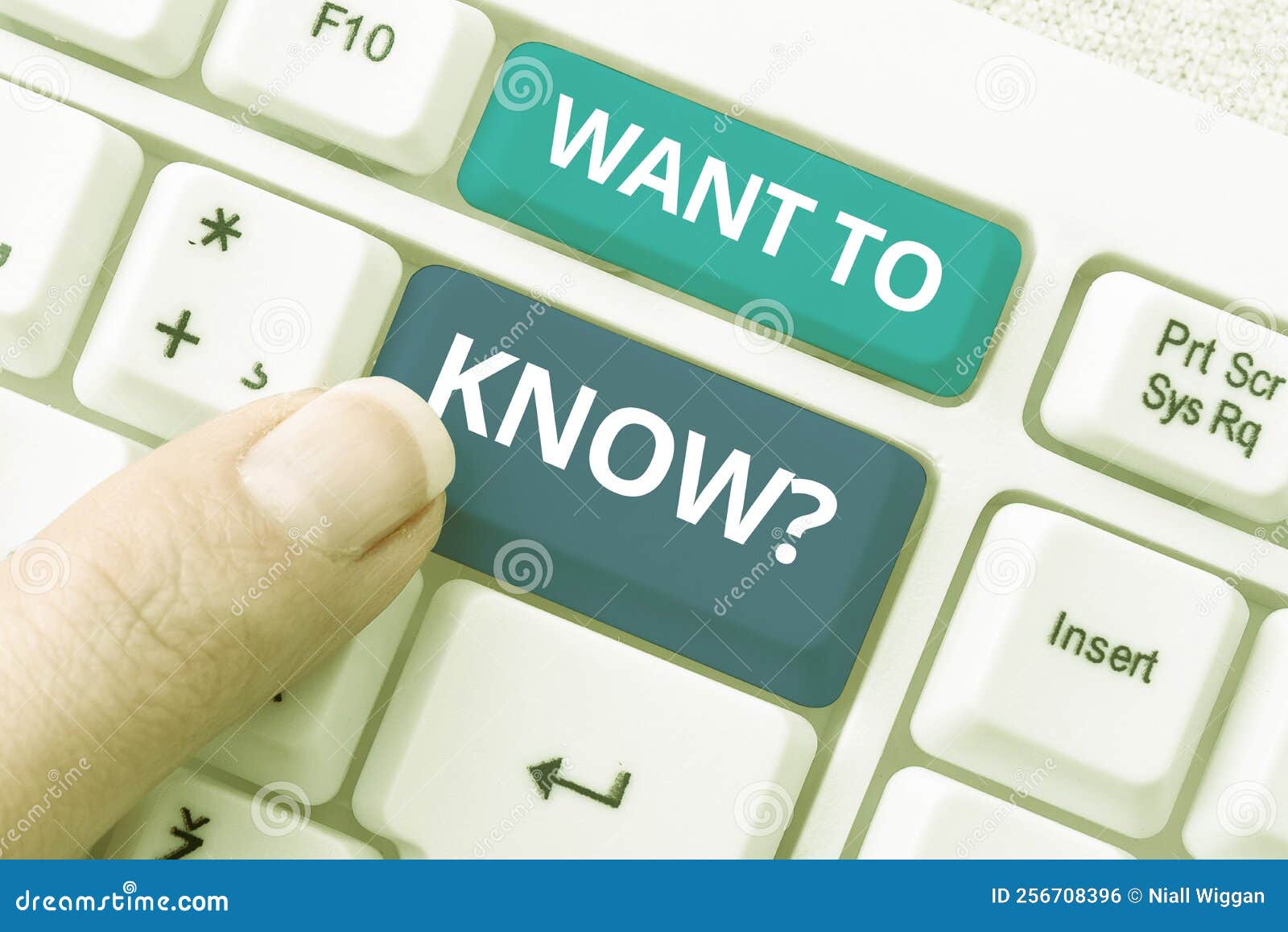 Conceptual Caption Want To Know Question. Conceptual Photo Request for ...