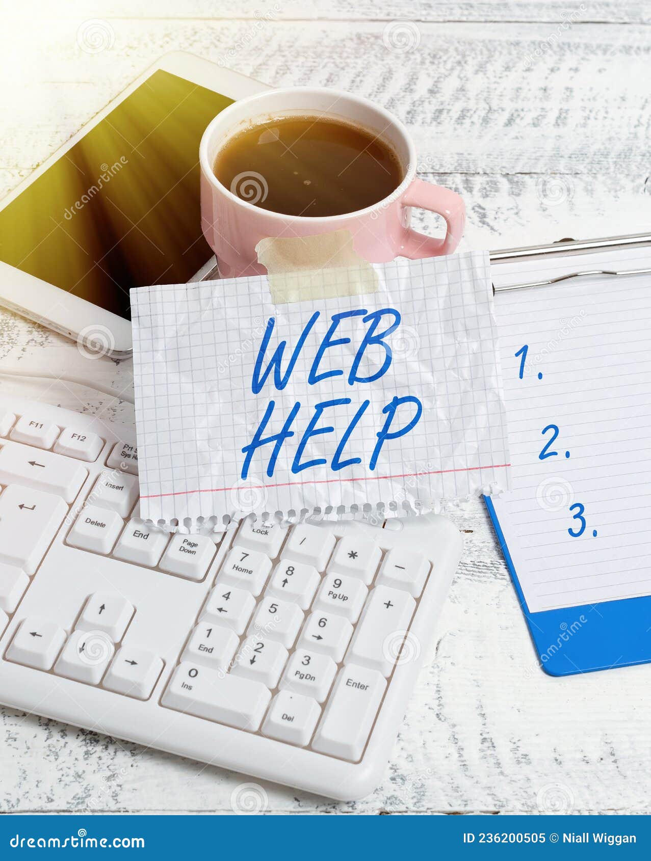 Conceptual Caption Web Help. Word for Procedural or Reference ...