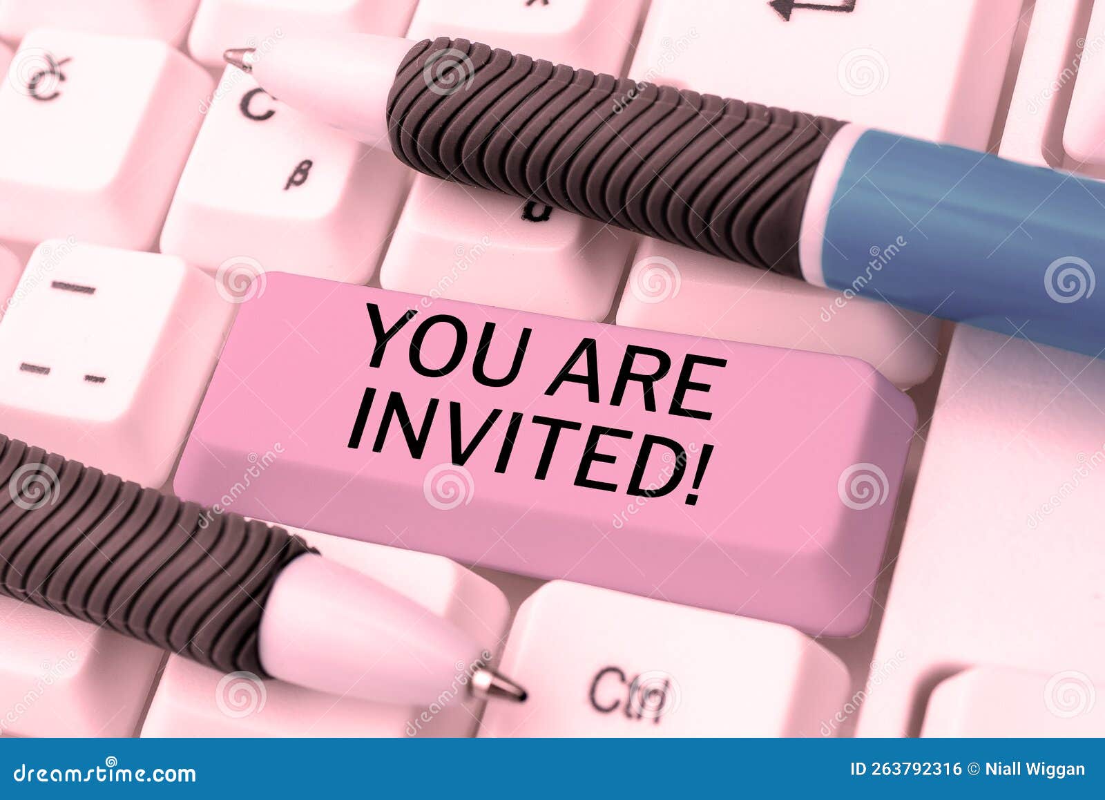 Conceptual Caption You are Invited. Business Overview Receiving and ... Conceptual Caption You are Invited. Business Overview Receiving and ...