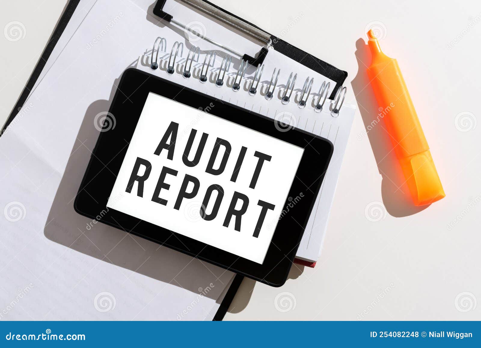 Conceptual Display Audit Report. Business Overview an Appraisal of ... Conceptual Display Audit Report. Business Overview an Appraisal of ...