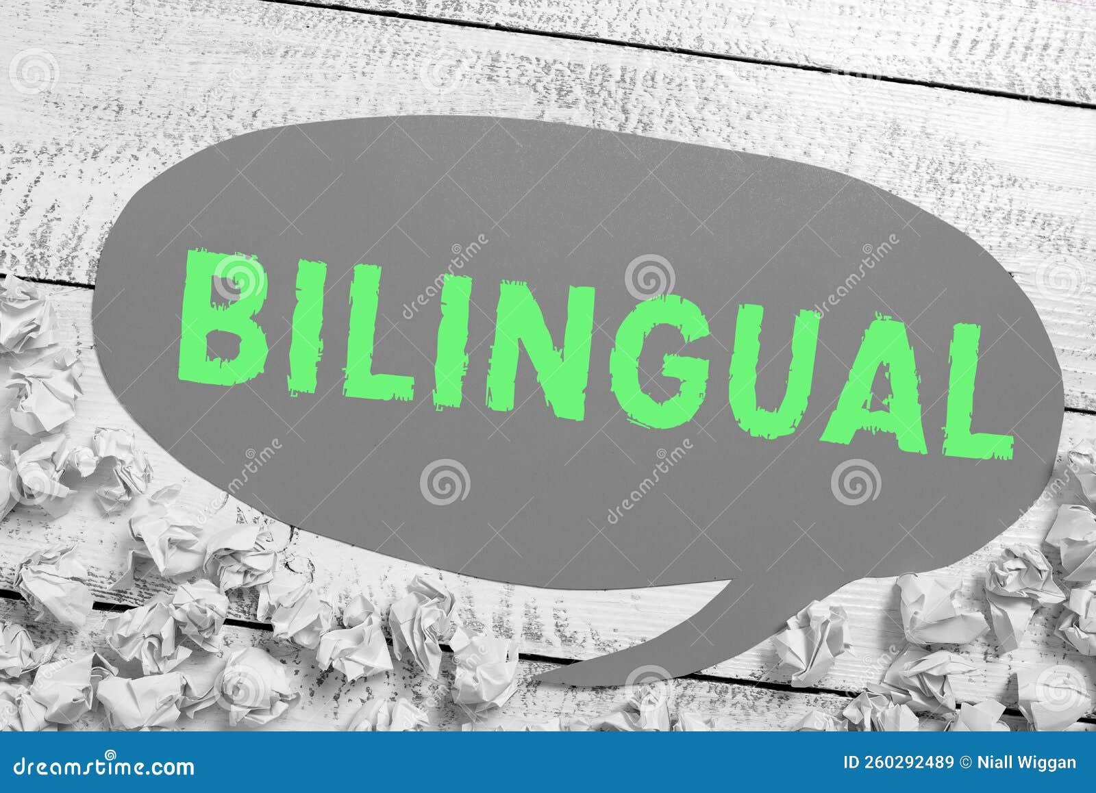 Conceptual Display Bilingual. Conceptual Photo Digital Database ...