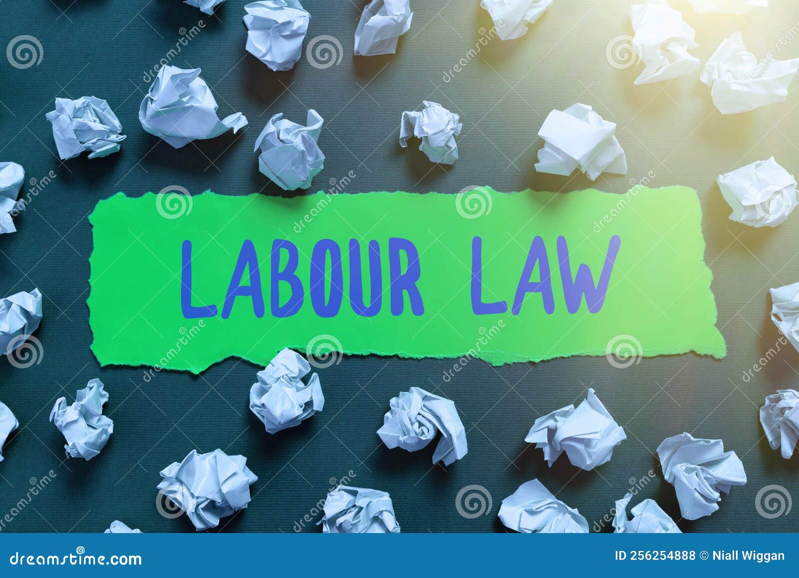 Conceptual Display Birth Life Date. Business Idea Rules Implemented by ... Conceptual Display Birth Life Date. Business Idea Rules Implemented by ...