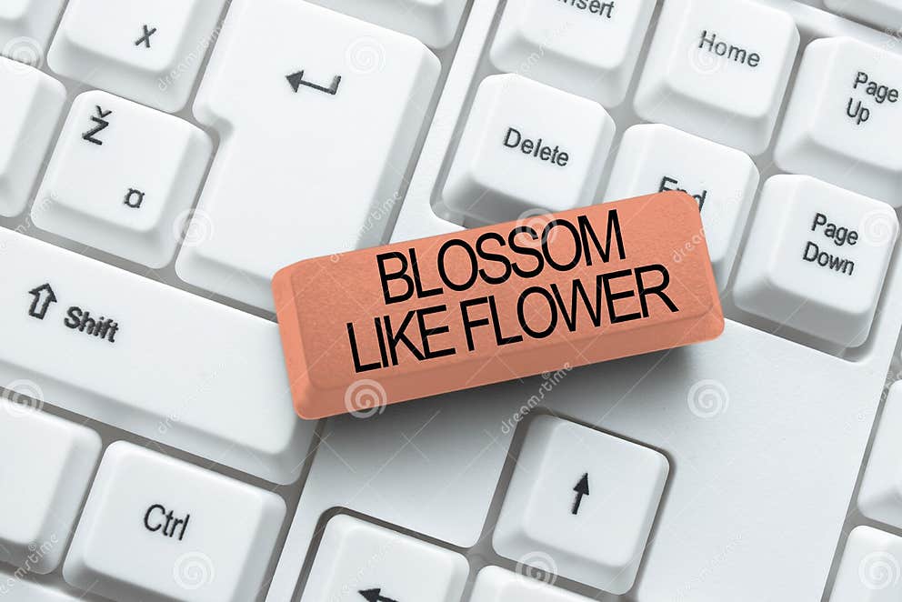 Conceptual Display Blossom Like Flower. Business Concept Person with ... Conceptual Display Blossom Like Flower. Business Concept Person with ...