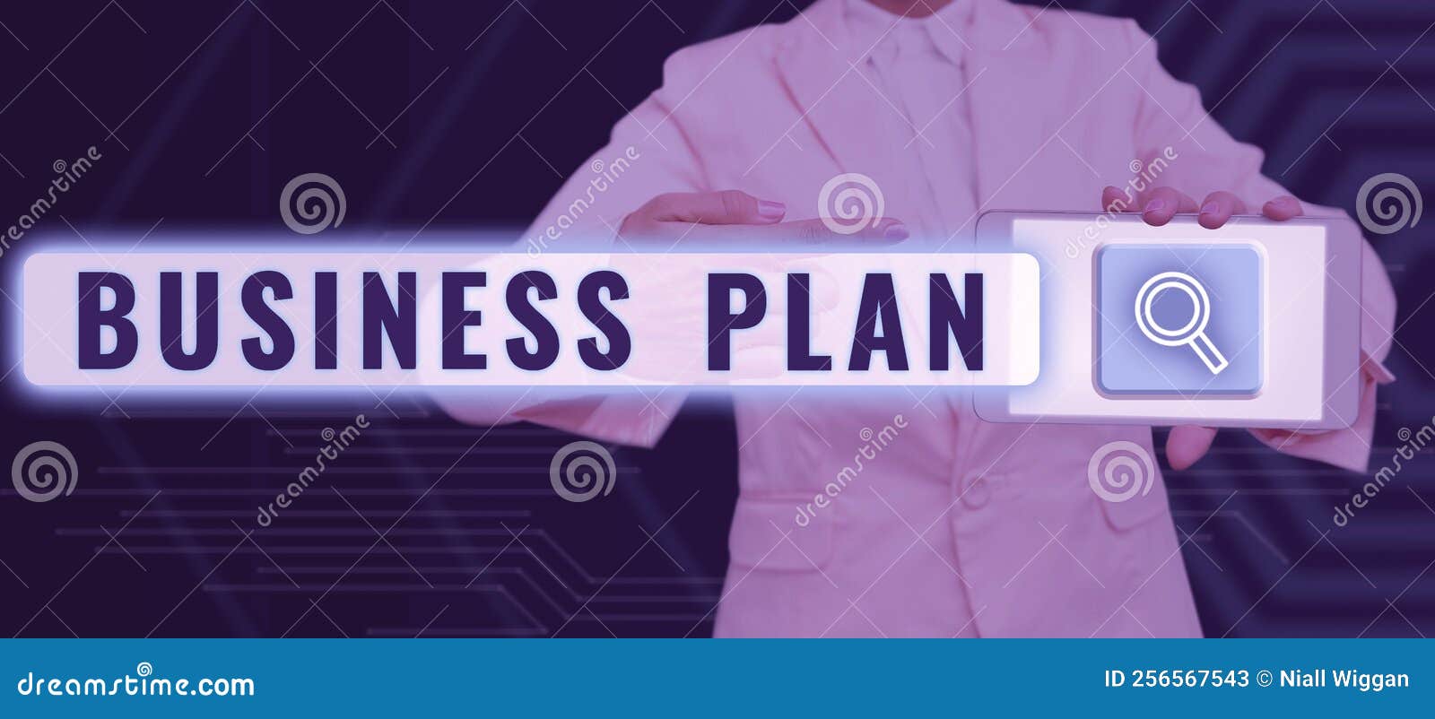 Conceptual Display Business Plan. Business Approach Structural Strategy Goals and Objectives ...