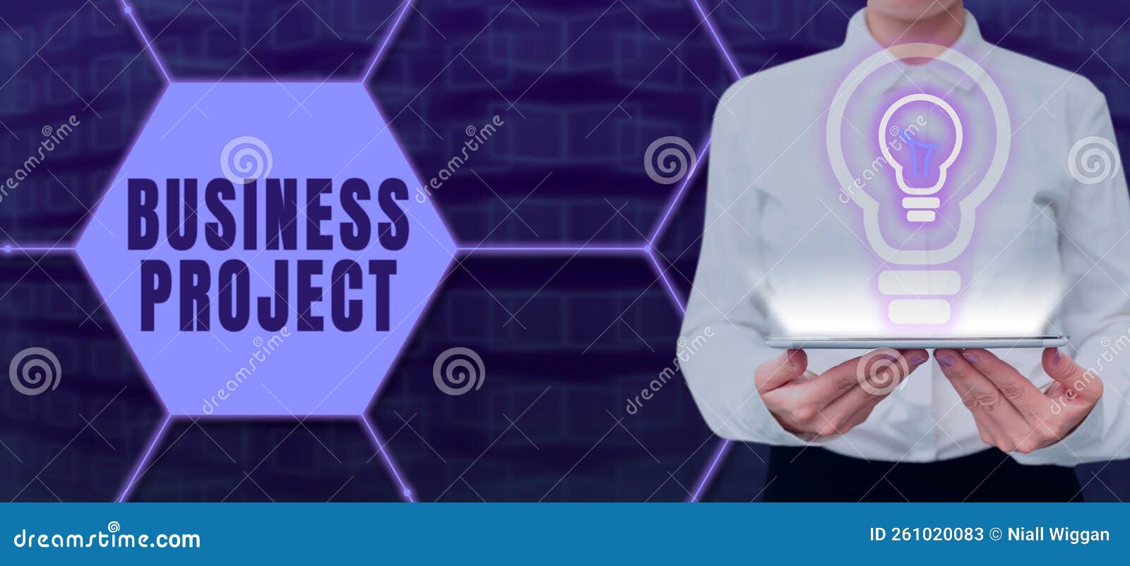 Conceptual Display Business Project. Business Concept Planned Set of ...