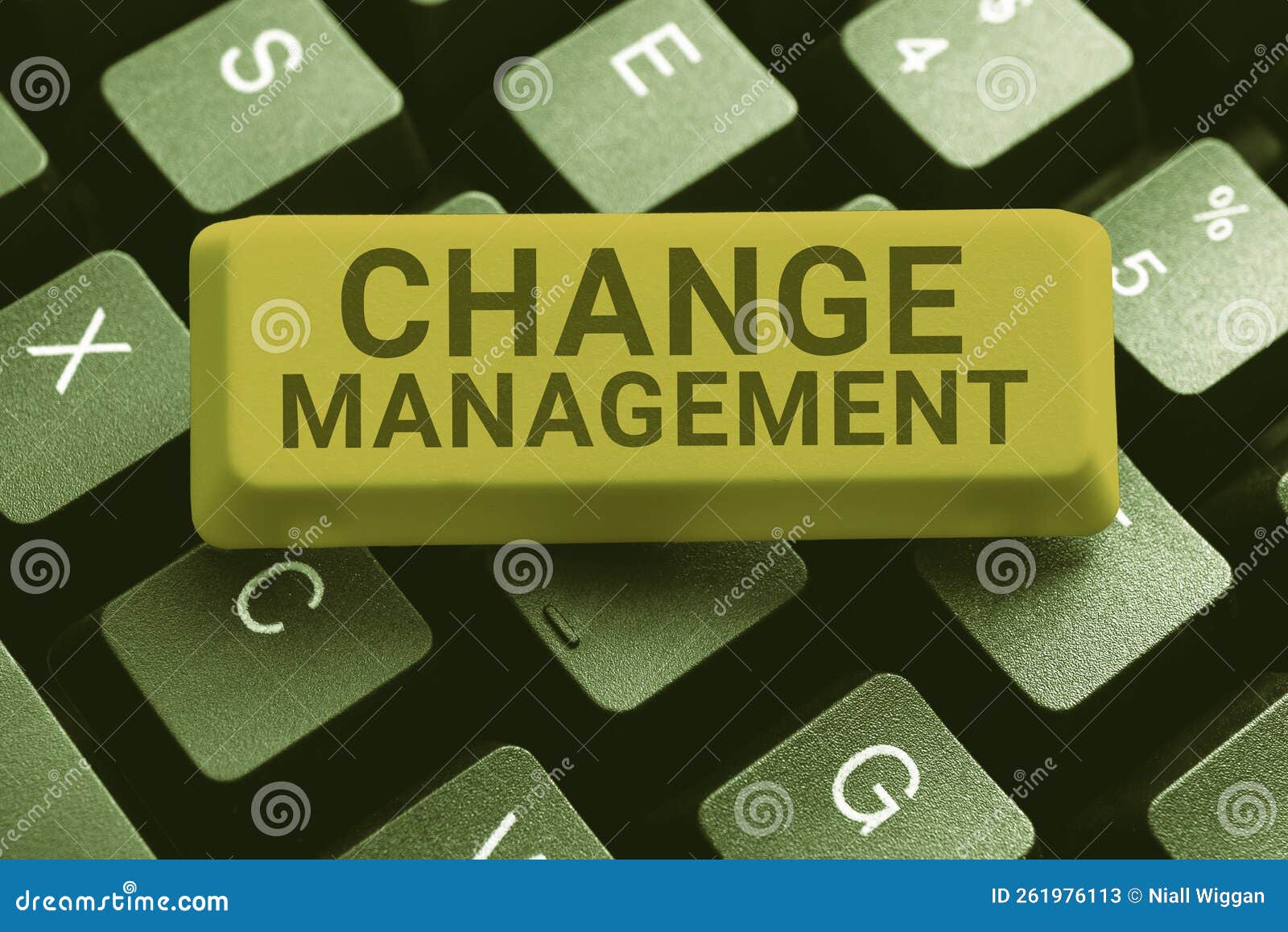 Conceptual Display Change Management. Word Written on Development ... Conceptual Display Change Management. Word Written on Development ...