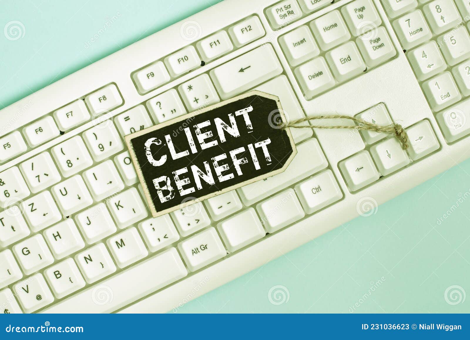 Conceptual Display Client Benefit. Business Approach the Real or ...