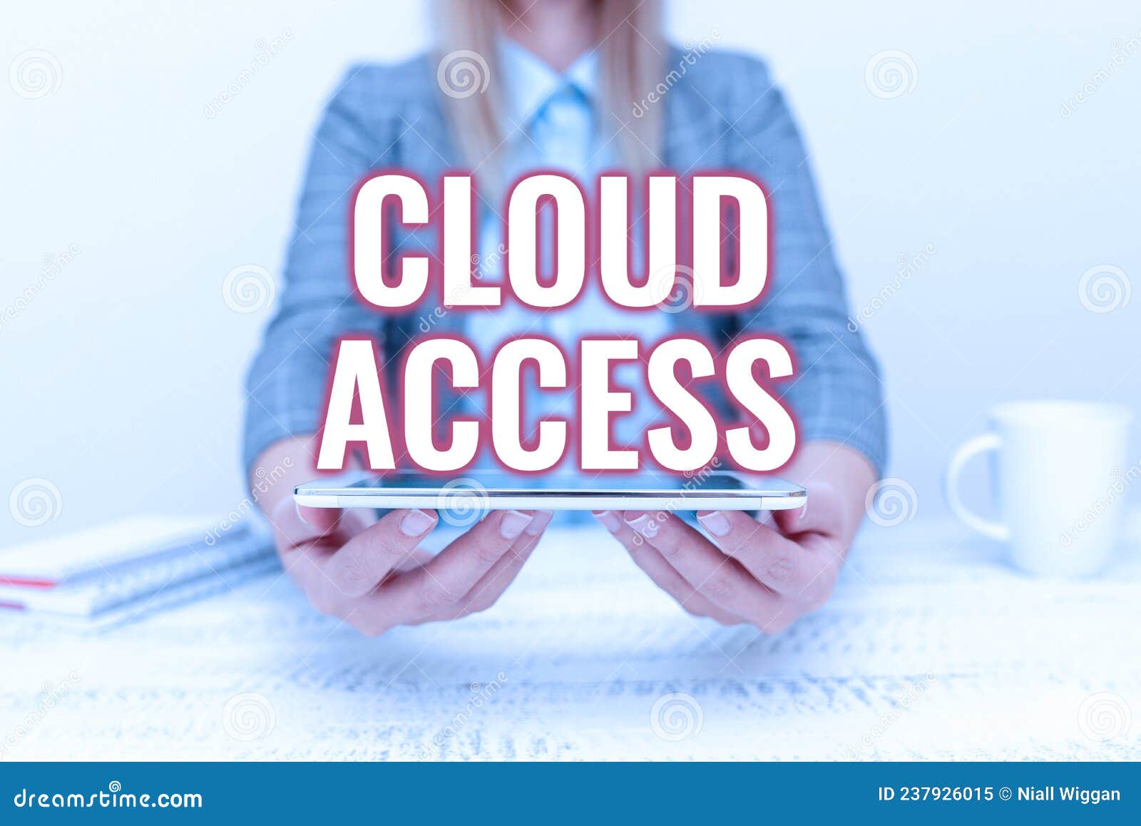 Conceptual Display Cloud Access. Business Showcase Software Tool ...