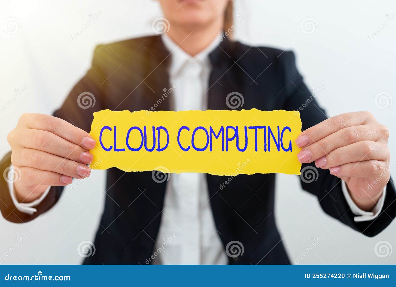 Conceptual Display Cloud Computinguse a Network of Remote Servers Hosted on the Internet ...