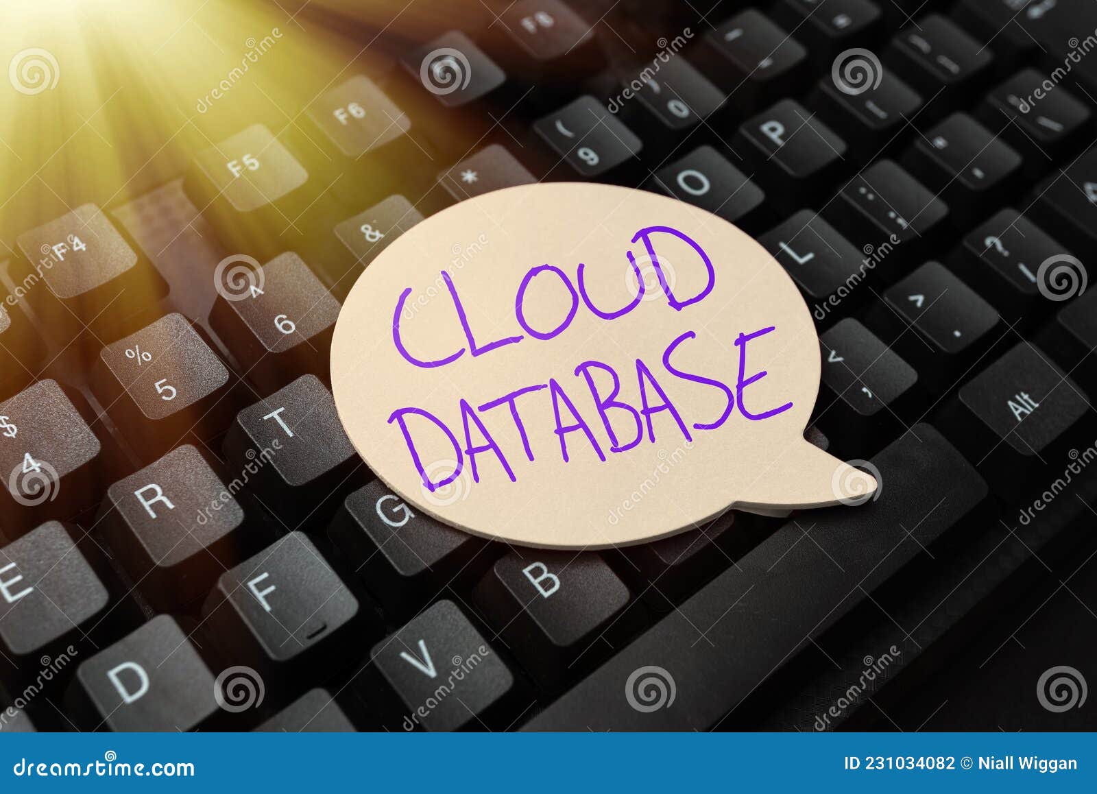 Conceptual Display Cloud Database. Business Approach Optimized or Built for a Virtualized ...
