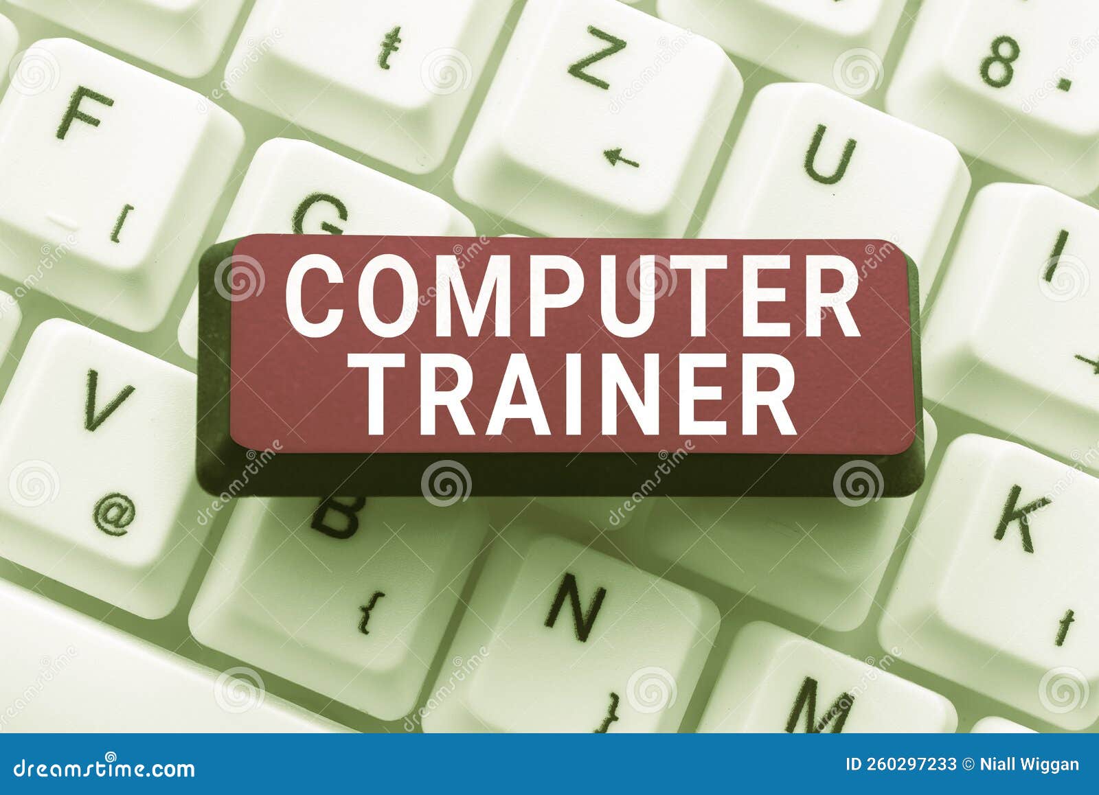 Conceptual Display Computer Trainer. Conceptual Photo Geographically Distributed Network of ...
