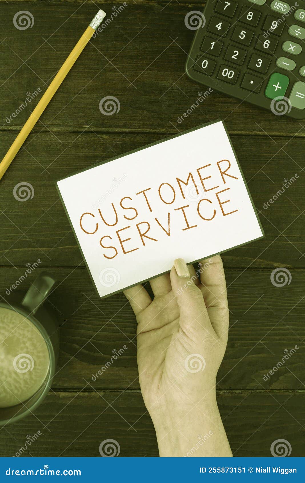 Conceptual Display Customer Serviceprocess of Ensuring Client ...
