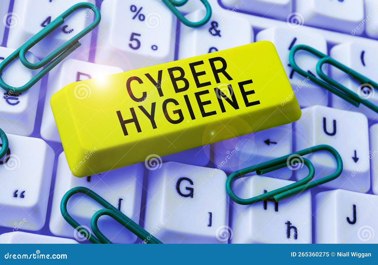 Conceptual Display Cyber Hygiene. Concept Meaning Steps that Computer ... Conceptual Display Cyber Hygiene. Concept Meaning Steps that Computer ...