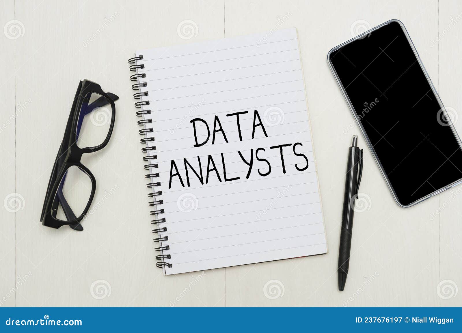 Conceptual Display Data Analysts. Conceptual Photo Programmer Design and Create Report ...