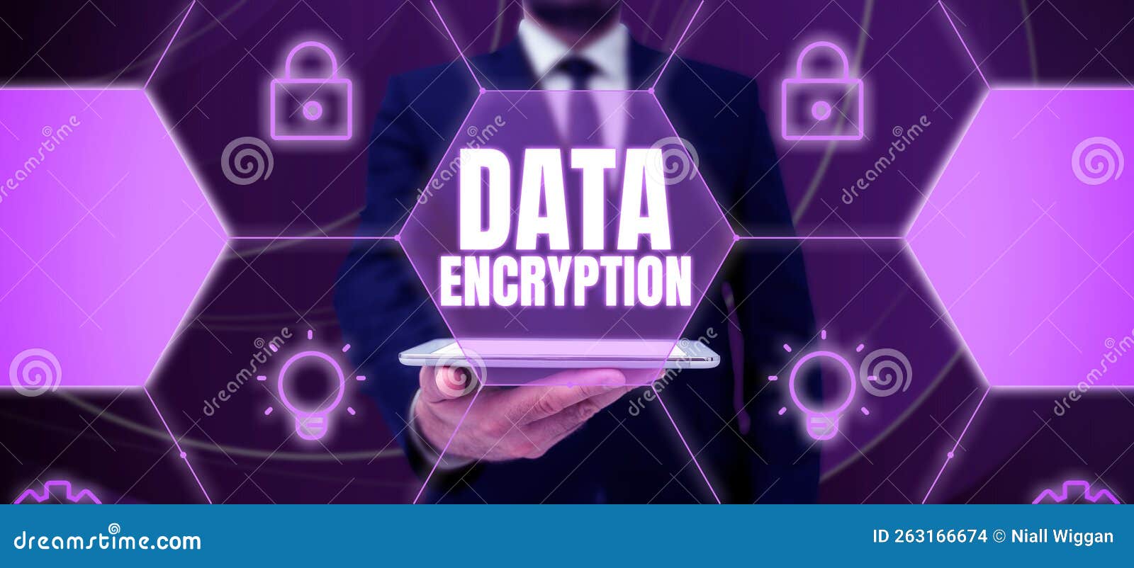 Conceptual Display Data Encryption. Business Overview Conversion of Data into Code for ...