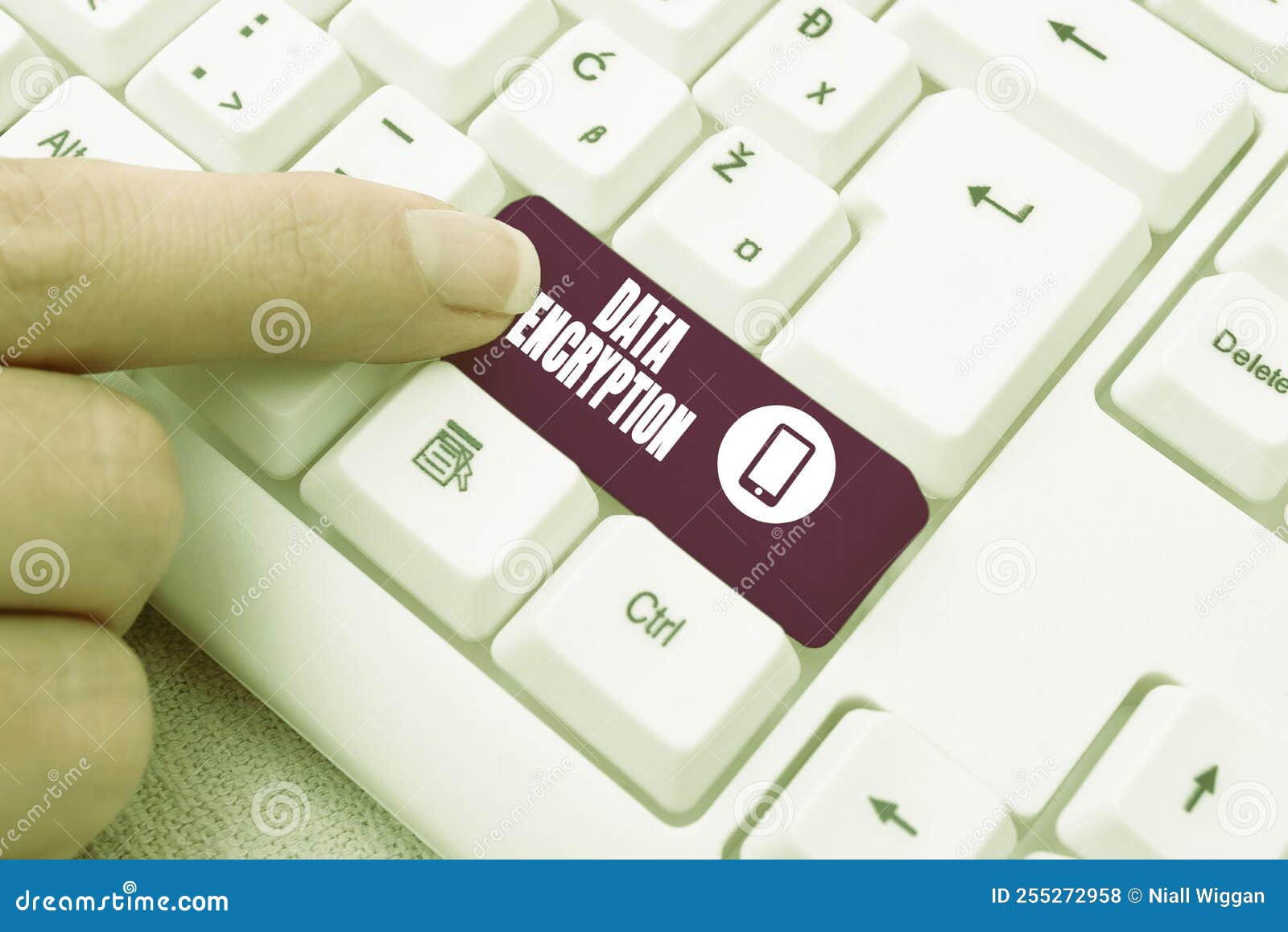 Conceptual Display Data EncryptionSymmetric-key Algorithm for the ...