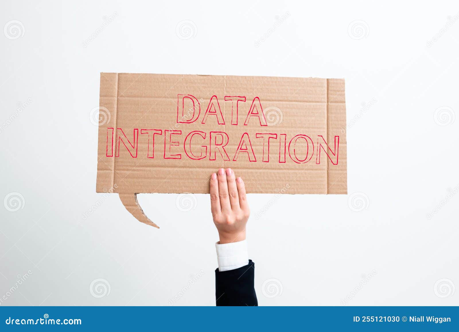 Conceptual Display Data Integrationcombination of Technical and ...