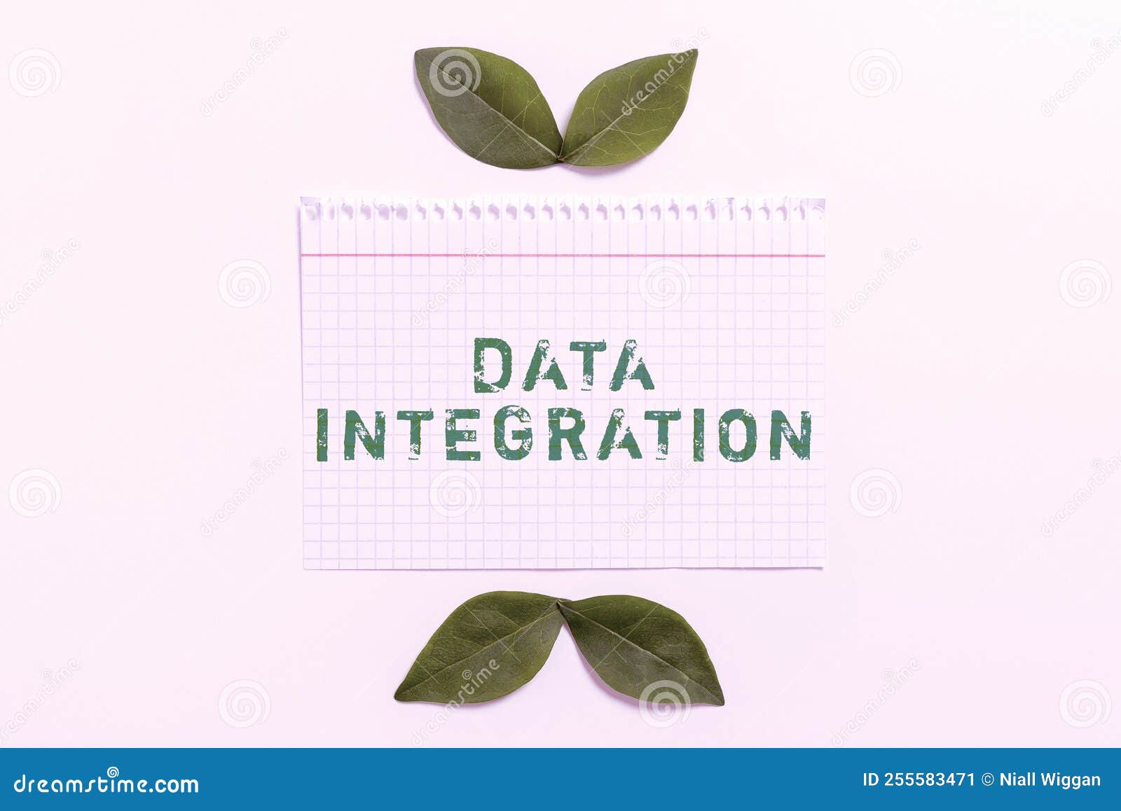 Conceptual Display Data Integrationcombination of Technical and ...