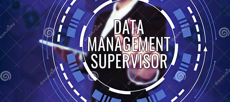 Conceptual Caption Data Management Supervisor. Business Idea Ensuring the Efficient and ...