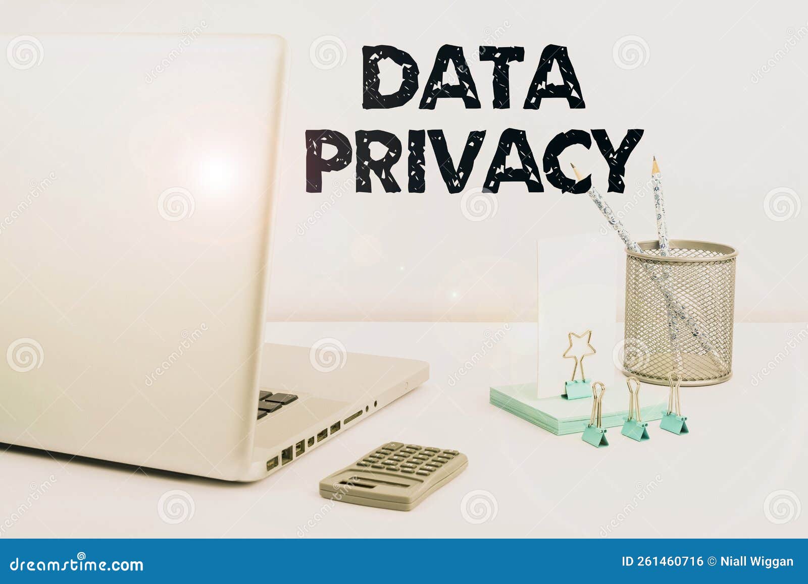 Text Sign Showing Data Privacy. Word for Internet Security and Digital ... Text Sign Showing Data Privacy. Word for Internet Security and Digital ...