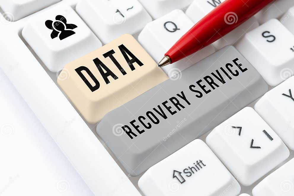 Conceptual Display Data Recovery Service. Business Overview Process of ...