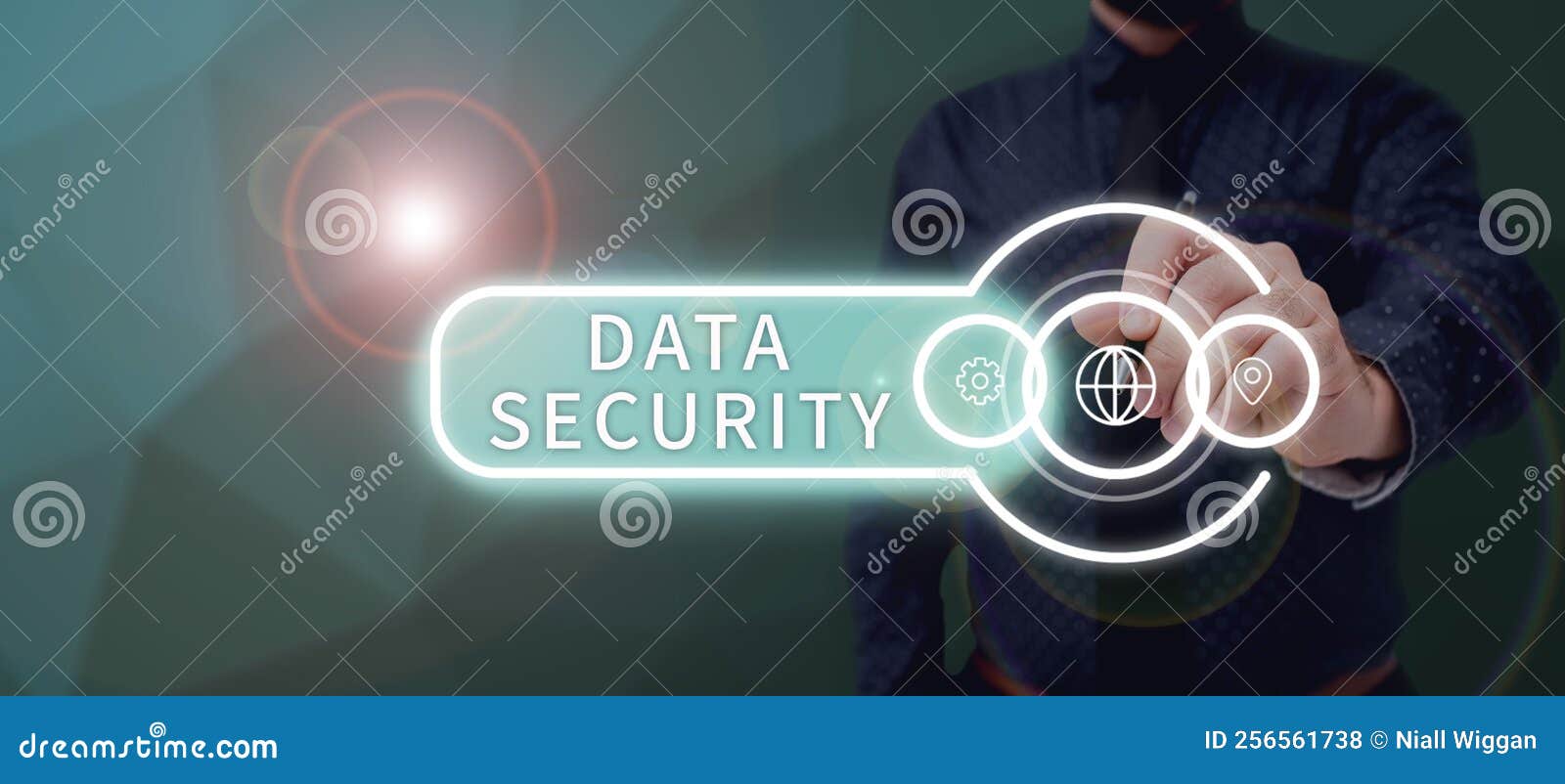 Conceptual Display Data Security. Business Overview Confidentiality Disk Encryption Backups ...