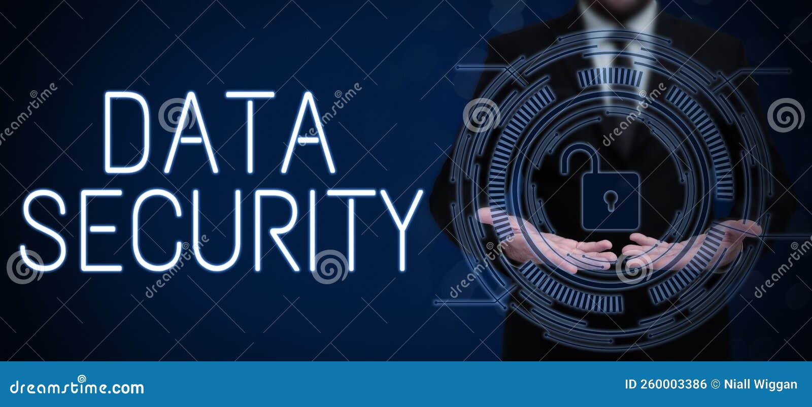 Conceptual Display Data Security. Business Overview Protected Important ... Conceptual Display Data Security. Business Overview Protected Important ...