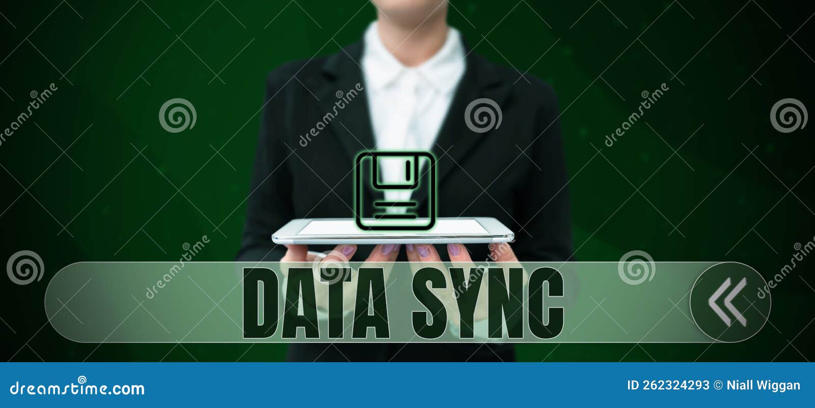 Conceptual Display Data Sync. Business Approach Data that is ... Conceptual Display Data Sync. Business Approach Data that is ...