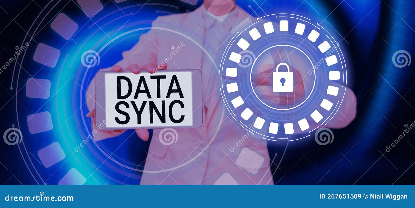 Conceptual Display Data Sync. Business Approach Data that is ... Conceptual Display Data Sync. Business Approach Data that is ...