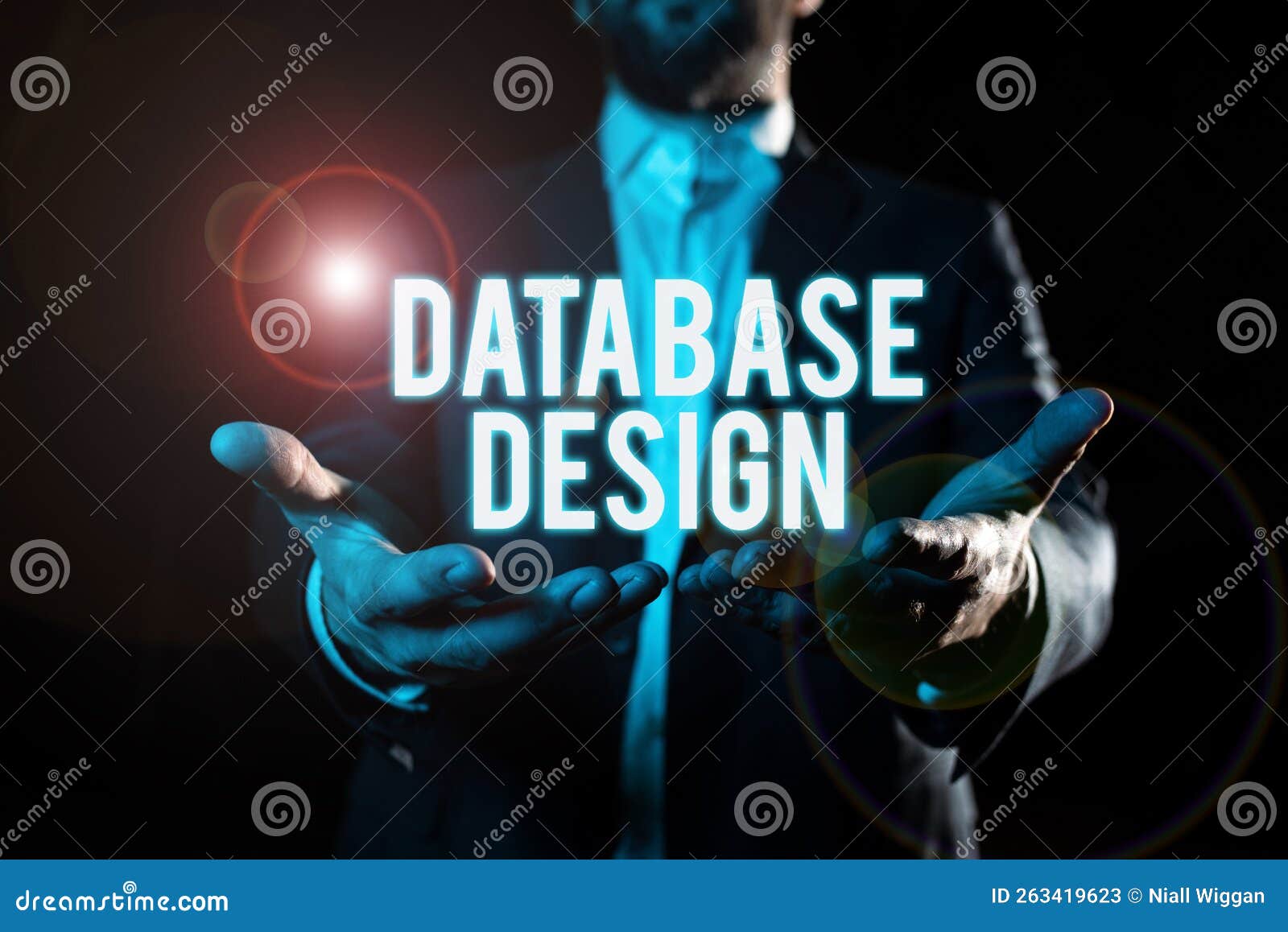 Writing Displaying Text Database Design. Business Overview Organisation ...