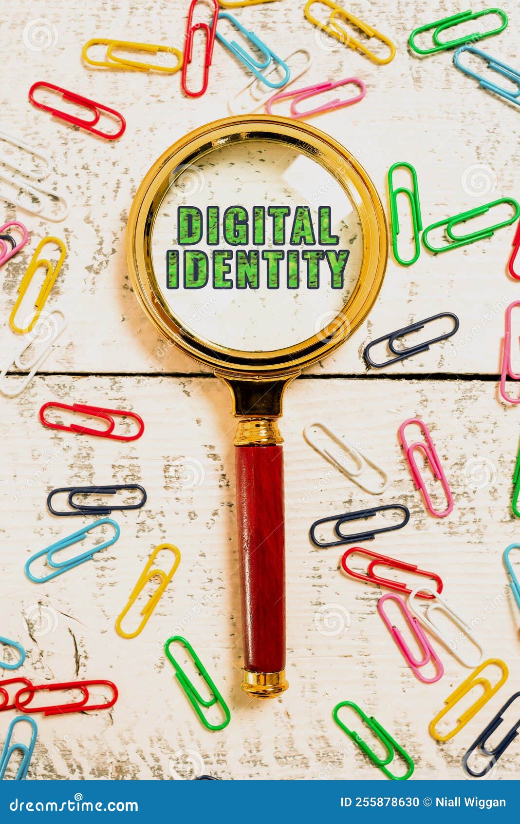 Conceptual Display Digital Identityinformation on Entity Used by ...