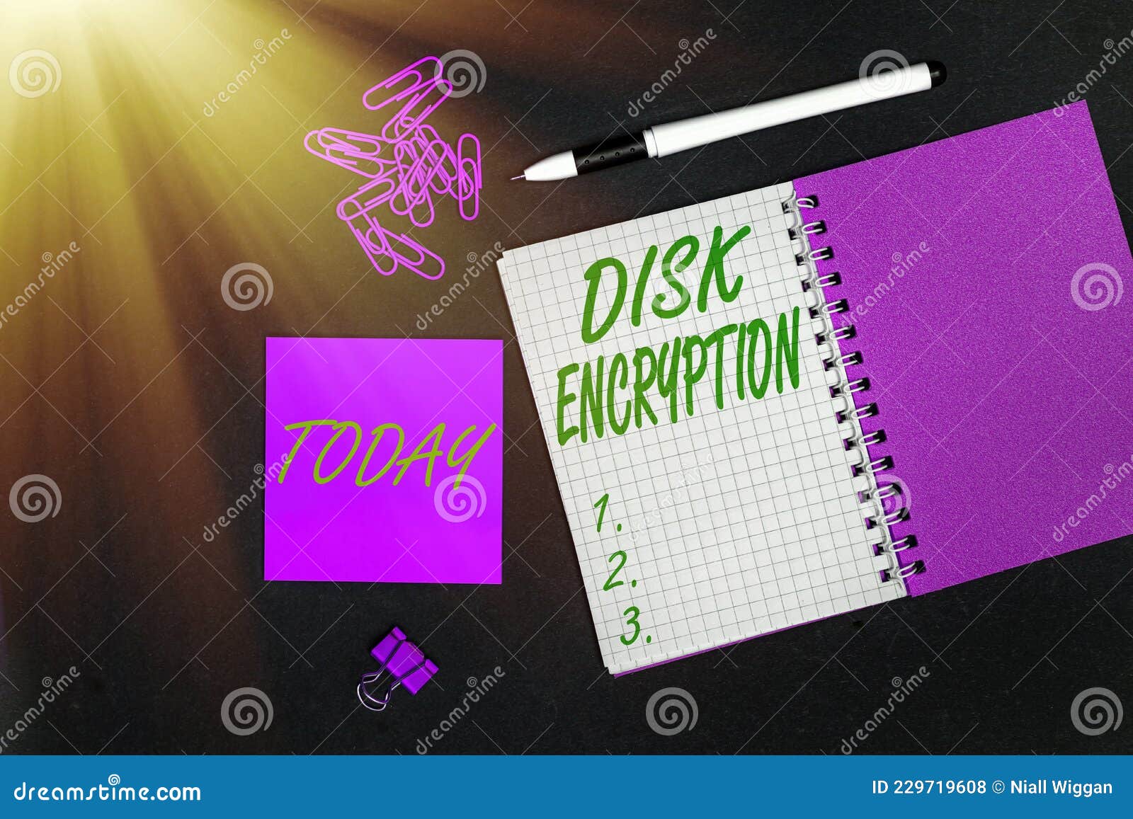 Conceptual Display Disk Encryption. Business Idea the Security ...