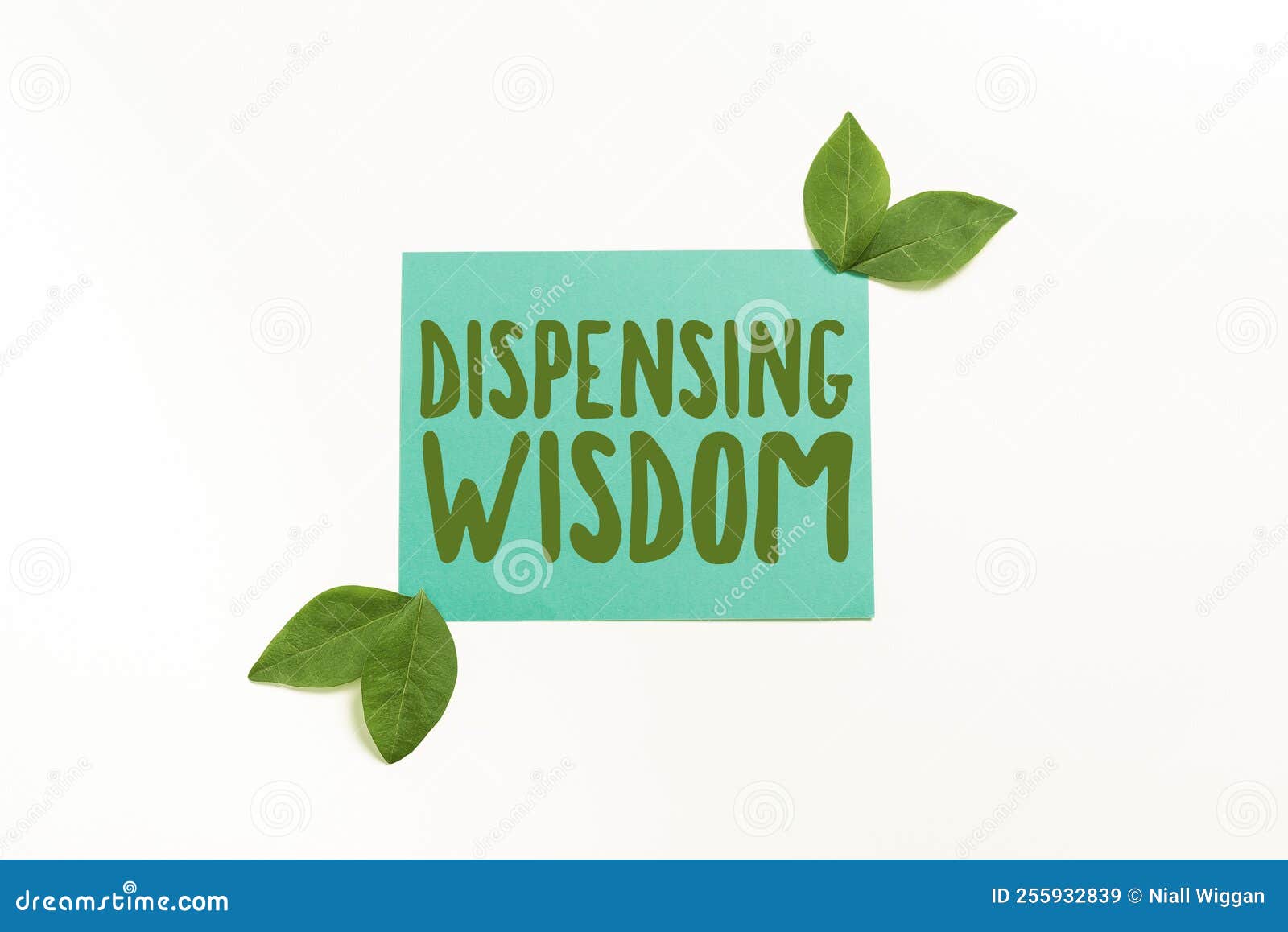 Writing Displaying Text Dispensing WisdomGiving Intellectual Facts on ... Writing Displaying Text Dispensing WisdomGiving Intellectual Facts on ...
