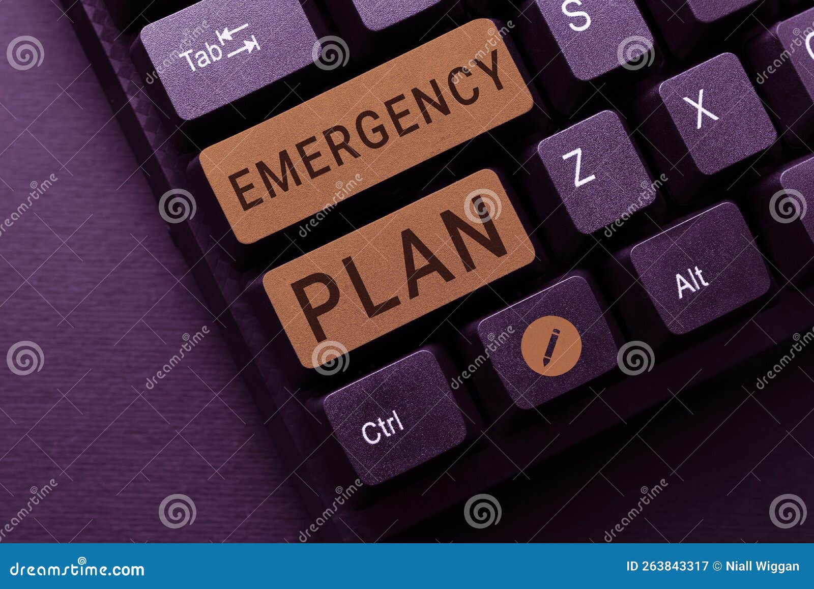 Conceptual Caption Emergency Plan. Business Concept Procedures for ... Conceptual Caption Emergency Plan. Business Concept Procedures for ...