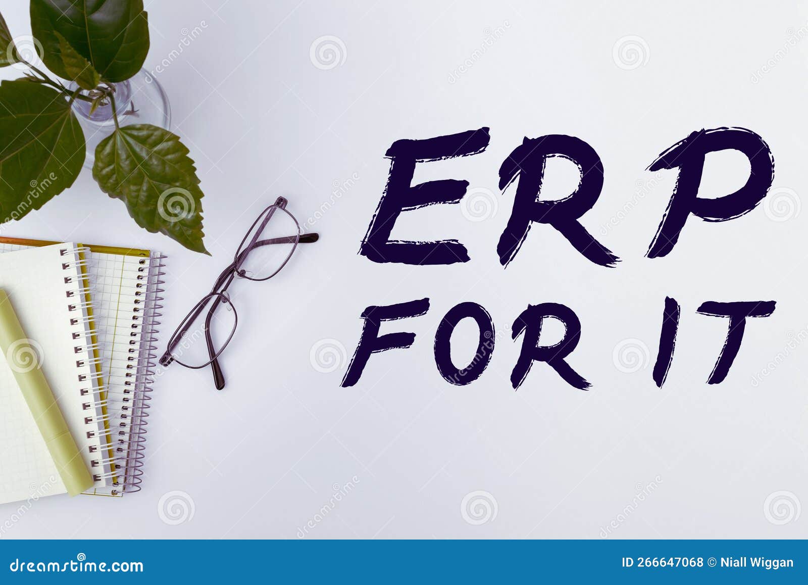 Conceptual Display Erp for it. Word Written on Enterprise Resource ...