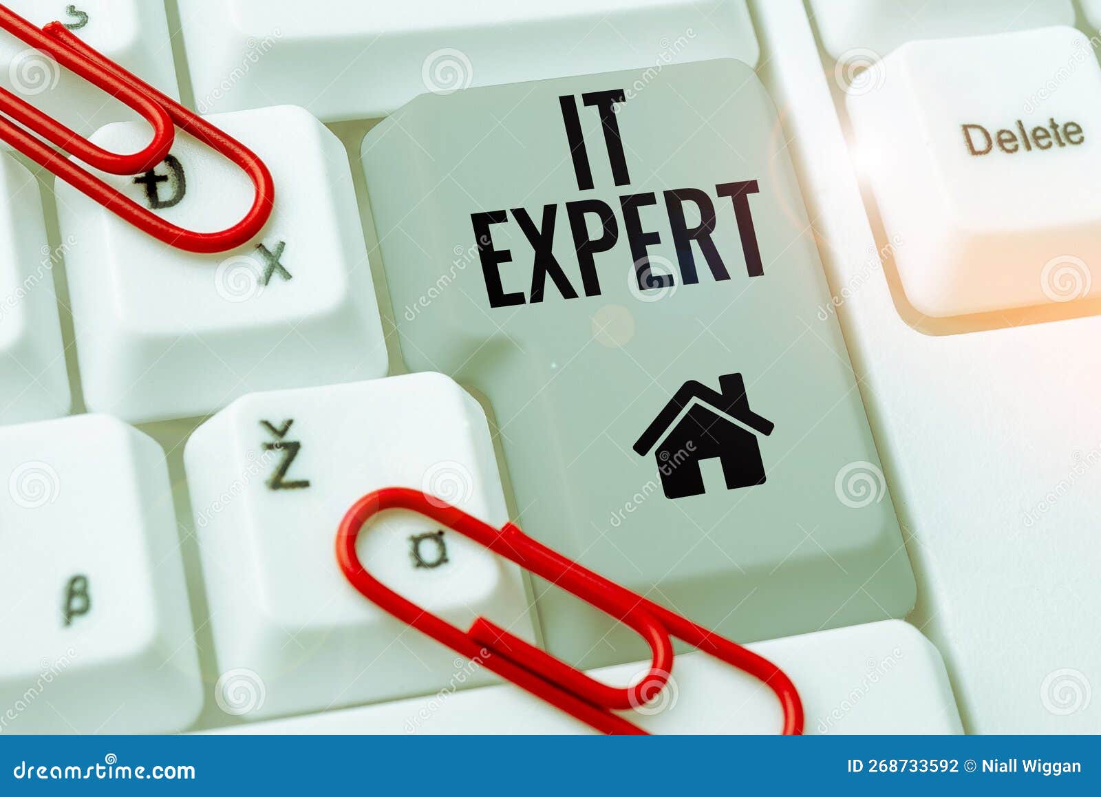 Conceptual Display it Expert. Word Written on Person with a High Level ...