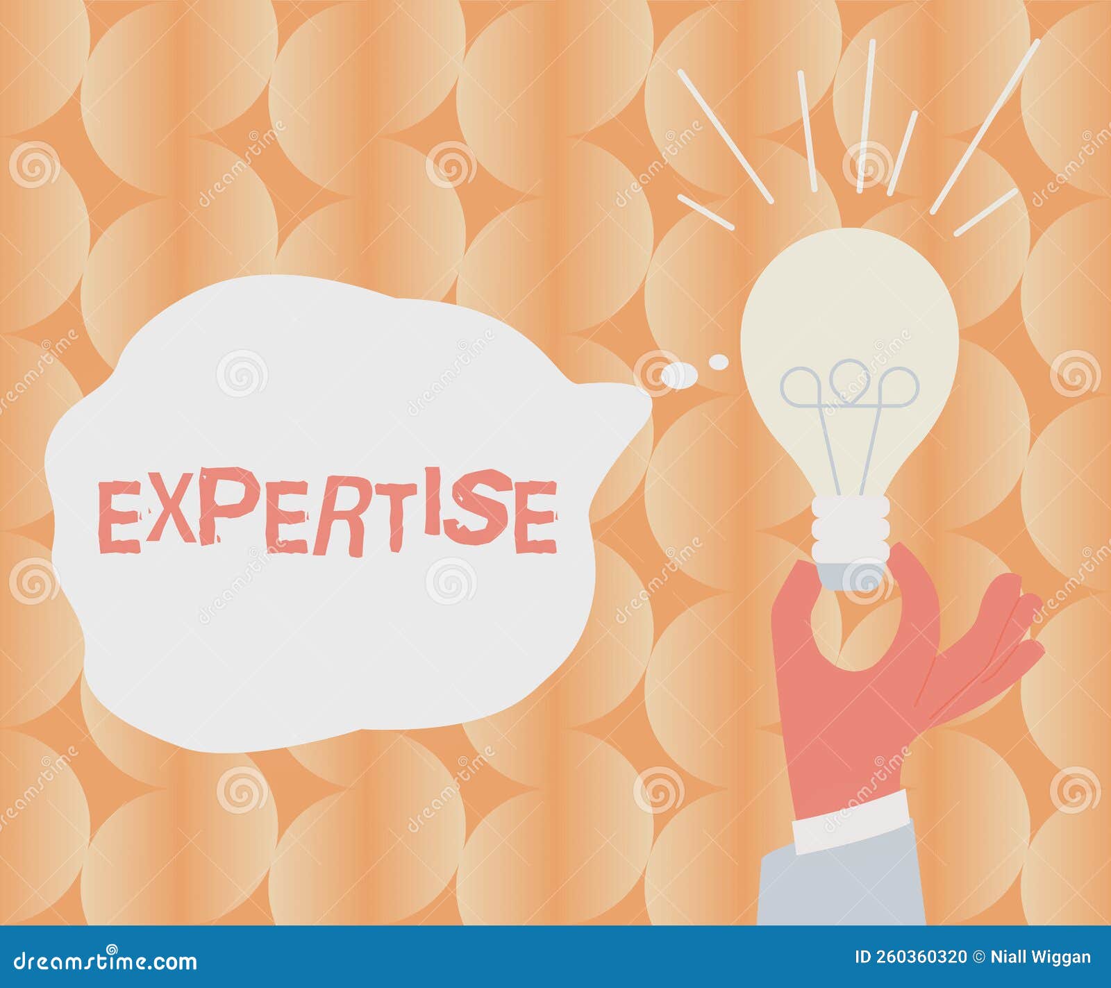 Conceptual Display Expertise. Business Overview Something that is Known ... Conceptual Display Expertise. Business Overview Something that is Known ...