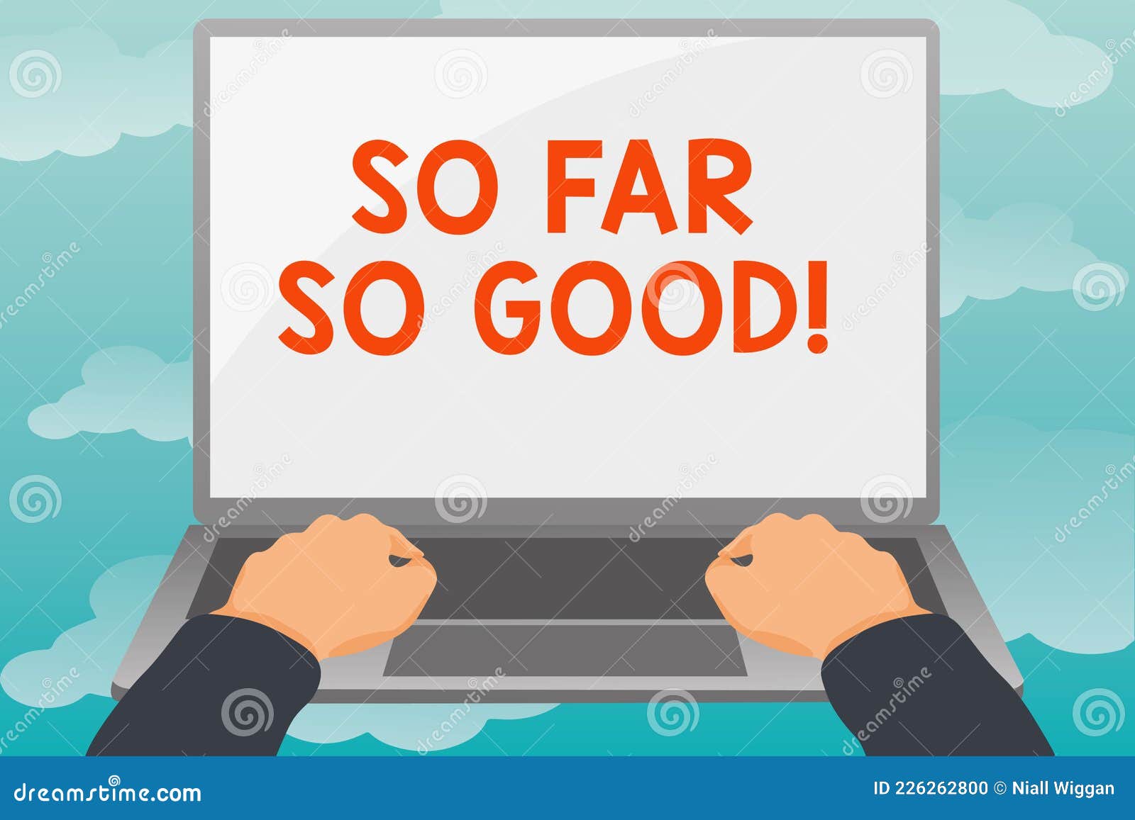 Conceptual Display so Far so Good. Business Overview Expressing ...