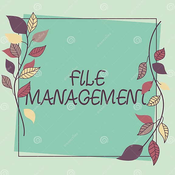 Conceptual Display File Management. Internet Concept Computer Program ...