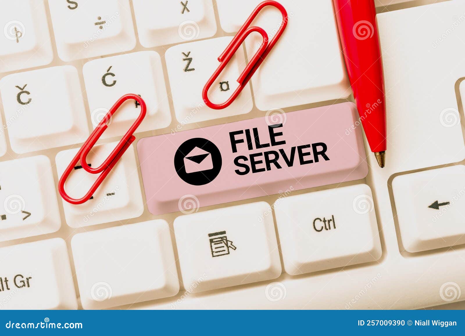 Conceptual Display File Server. Concept Meaning Device Which Controls ... Conceptual Display File Server. Concept Meaning Device Which Controls ...