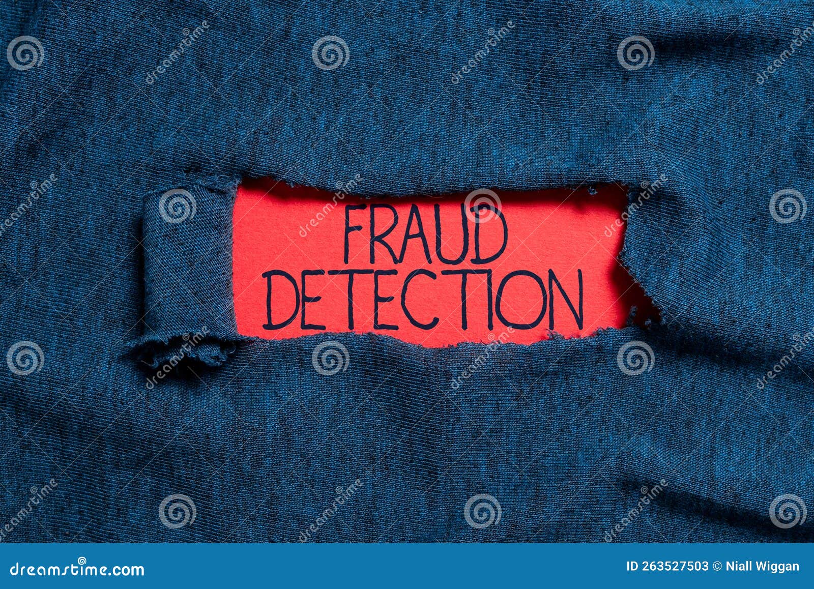 Conceptual Display Fraud Detection. Word Written on Identification of ... Conceptual Display Fraud Detection. Word Written on Identification of ...
