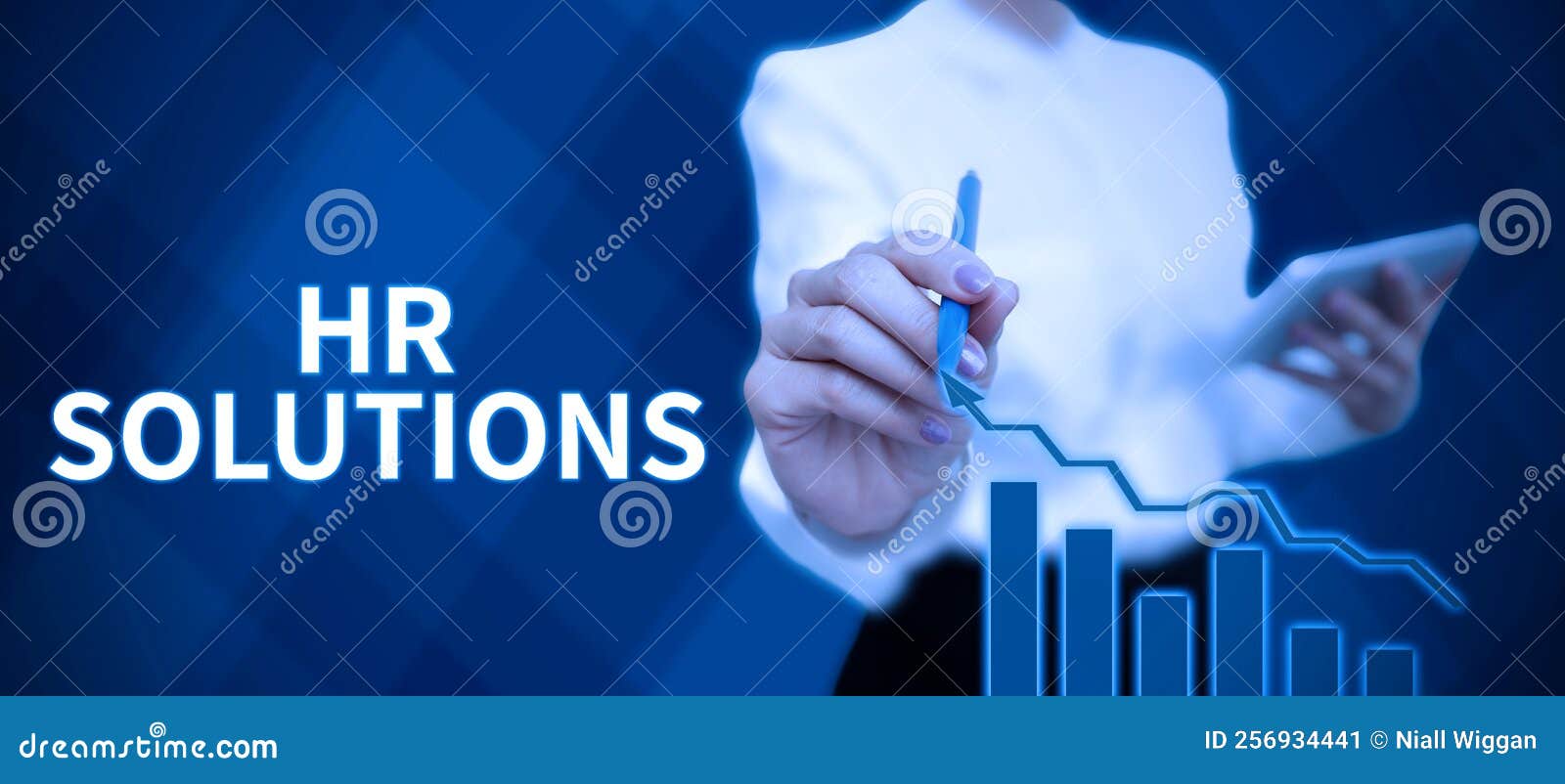 Conceptual Display Hr Solutions. Business Approach Outsourced Human Resources Consultancy and ...