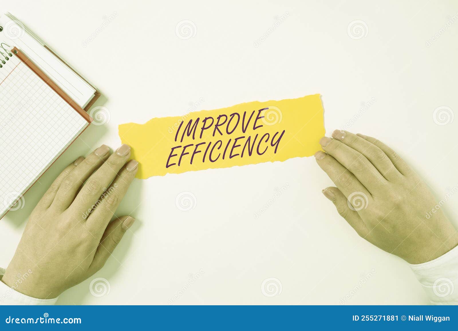 Conceptual Display Improve EfficiencyCompetency in Performance with ...