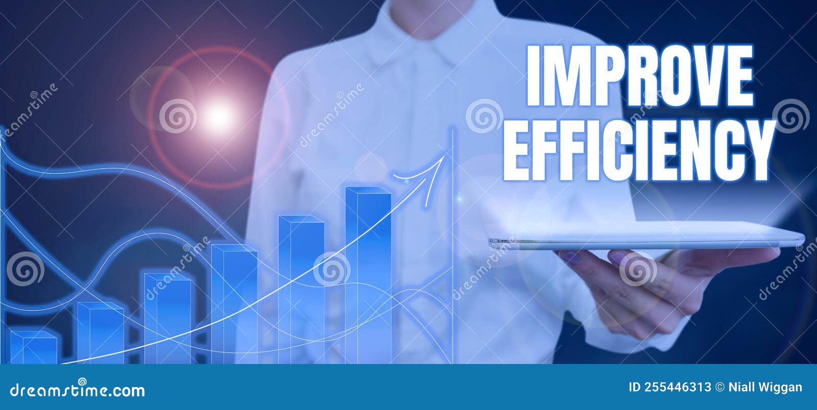 Conceptual Display Improve EfficiencyCompetency in Performance with ...
