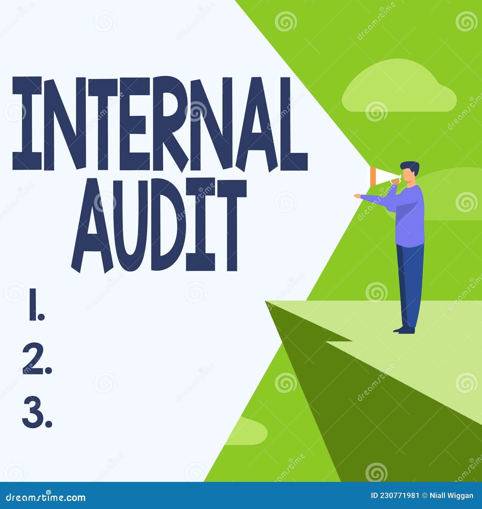 Conceptual Display Internal Audit. Business Overview Evaluates the ...