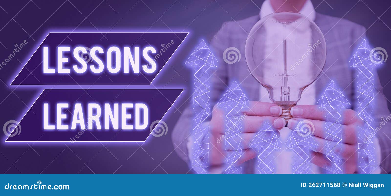 Conceptual Display Lessons Learned. Business Concept the Knowledge or ... Conceptual Display Lessons Learned. Business Concept the Knowledge or ...