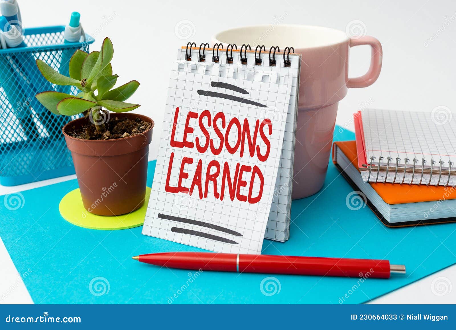 Conceptual Display Lessons Learned. Business Overview Promote Share and ...
